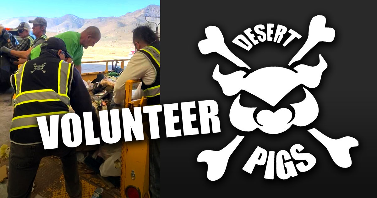 Volunteer with Desert Pigs